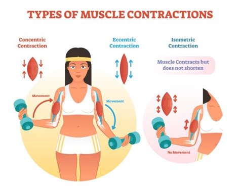Isokinetic Exercise Examples For Strength And Rehab Isokinetic Exercise Examples For Strength And Rehab