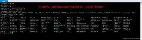 Linux入门十一：centos软件方式之：【编译方式】安装和卸载程序；（以安装redis为例演示）centos Yum 和make