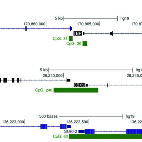 Ucoes Are Characterised By A Cpg Island Screenshots Of The Ucsc Genome Download Scientific