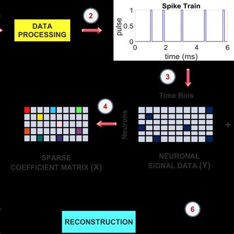 The Proposed Dictionary Learning Framework For Neuronal Signal