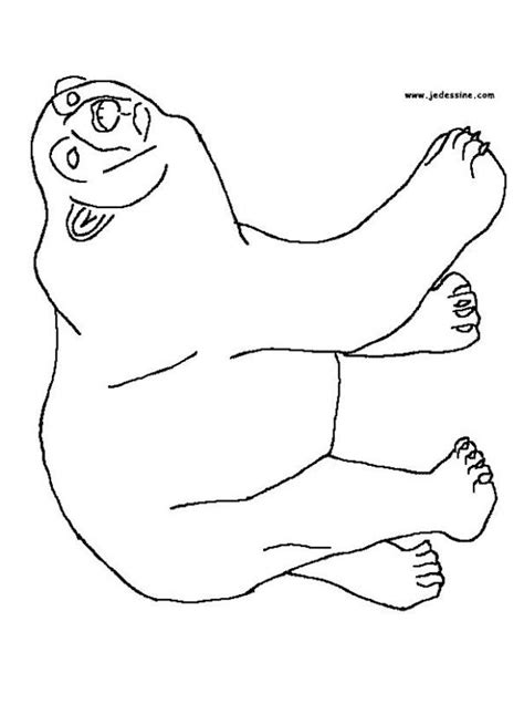 Oso De Anteojos Para Dibujar Imagui