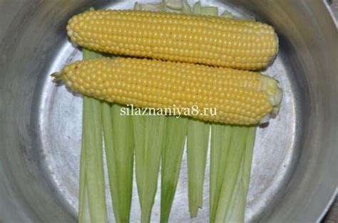 Как варить кукурузу в початках в кастрюле Рецепты мягкой и сочной кукурузы