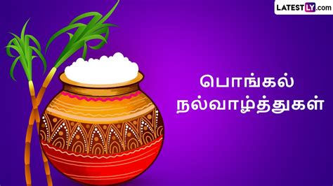 விழாக்கள் And நிகழ்வுகள் News மகிழ்ச்சி பொங்கும் பொங்கல் வாழ்த்து