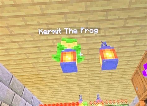 My Frog Figured Out How To Get In To The Light Rminecraft
