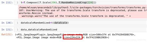 Pytorch中trandomresizedcrop等图像操作转换的效果 Csdn博客