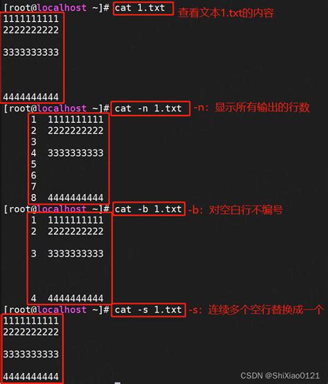 Linux目录和文件管理 Csdn博客