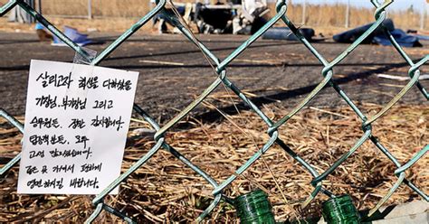 저희는 대놓고 울 수도 없습니다 동료 잃은 승무원 추모글