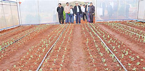 မန္တလေးတိုင်းဒေသကြီး အတွင်း စိုက်ပျိုးရေး ကဏ္ဍဖွံ့ဖြိုး တိုးတက်ရေး ကွင်းဆင်း ဆောင်ရွက် Myawady