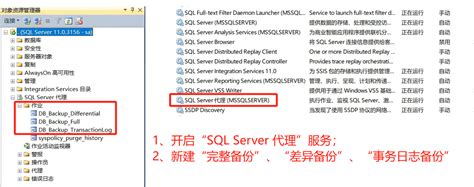Sqlserver 数据库备份与还原 Pandora2050 博客园