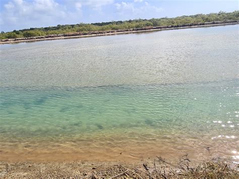 Contact — Kensalt Ltd