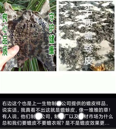 优质天然蟾蜍皮 优质蟾品 山东康蟾农业有限公司