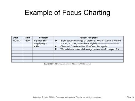 Focus Charting Nursing Example A Visual Reference Of Charts Chart Master