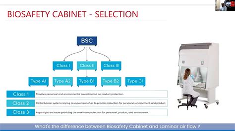 Difference Between Laminar Flow Hood And Biosafety Cabinet