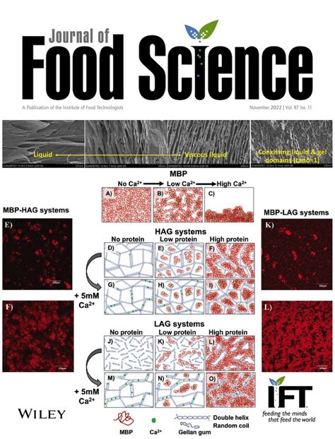 Optimization Of Fermentation Conditions Of Synbiotic Legume‐based