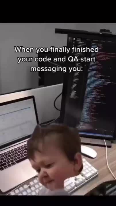 Video Lakshman R On Linkedin Finally Finished The Code And Qa Started Testing And Raising Bugs