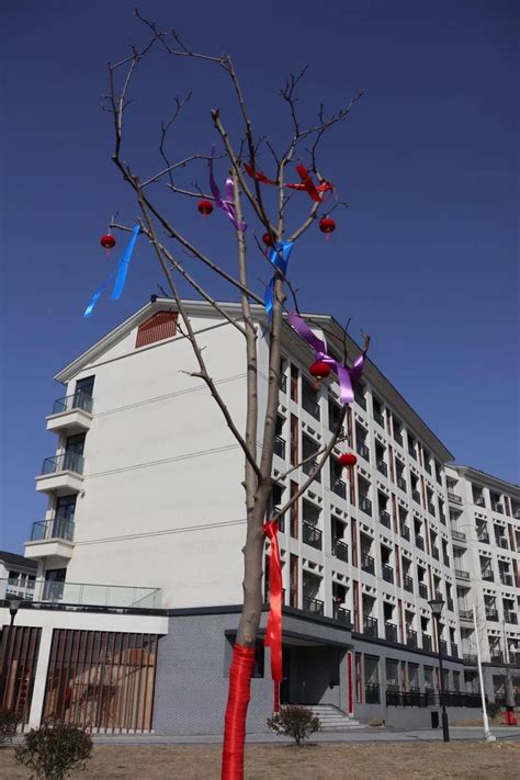 学军中学海创园宿舍 图库 五毛网