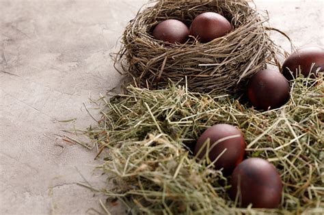 여전히 텍스트 배경에 많은 다채로운 부활절 달걀을 생활 소박한 천연 허브의 장식 부활절 축하 개념 4월에 대한 스톡 사진 및 기타 이미지 Istock