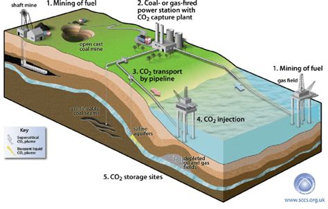 Fossil Fuels Diagram
