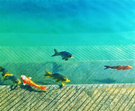 Lenovo K Wallpapers Top Free Lenovo K Backgrounds Wallpaperaccess