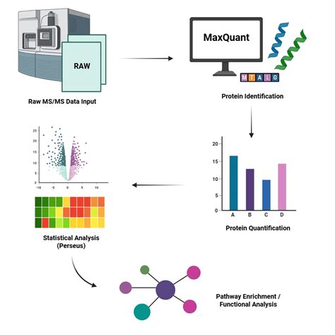 Explore Services Genetic Codon