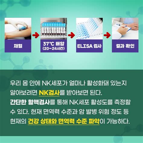 암세포 직접 파괴하는 Nk세포 지자체 무료검사 서비스 호응
