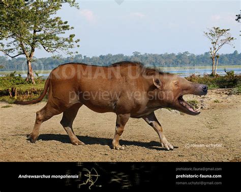 Andrewsarchus Mongoliensis Image Buy Uchytel