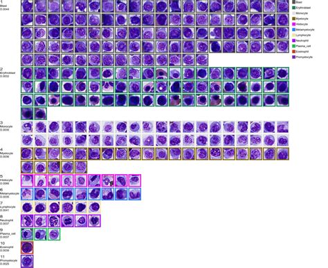 Slide Vector Plot