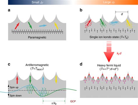 Schematic Phase Diagram Of A Kondo Lattice The Four Possible Phases Of Download Scientific