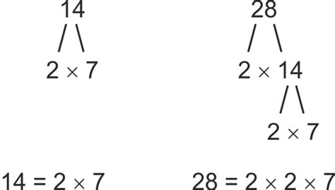 Greatest Common Factor Using Factor Trees CK Foundation Worksheets Library