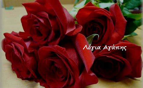 ღ Την Αγάπη την ακούς στις πράξεις ღ Καλό Δεκαπενταύγουστο Καλή Παναγιά να έχουμε Να