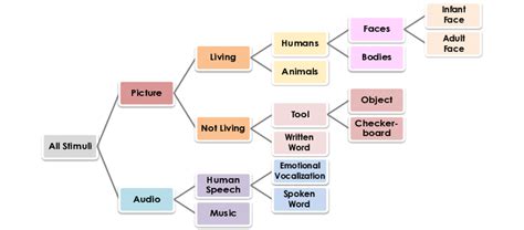 hierarchical classifier architecture this figure shows the