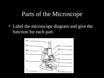 The Microscope Assignment By Tater S STEM TPT