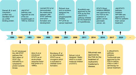 Brief History Of Signal Transducer And Activator Of Transcription 3 Download Scientific Diagram