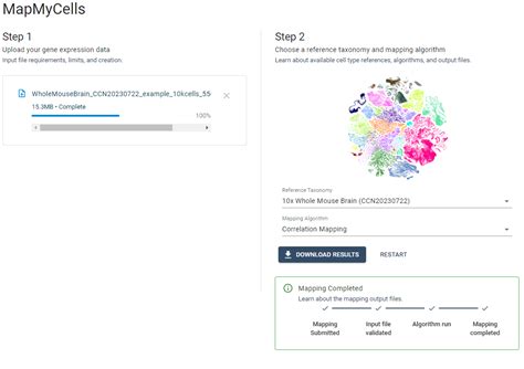 Introducing Mapmycells Mapmycells Allen Brain Map Community Forum