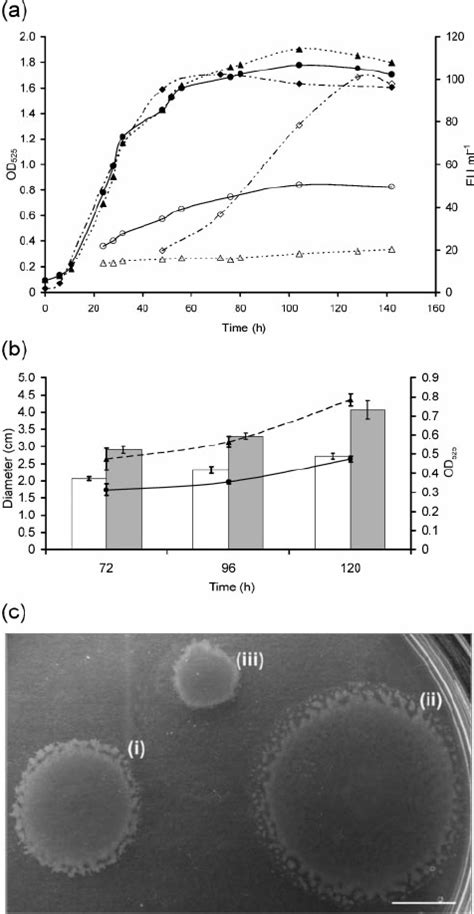 Growth Extracellular Proteolytic Activity And Spreading Of F