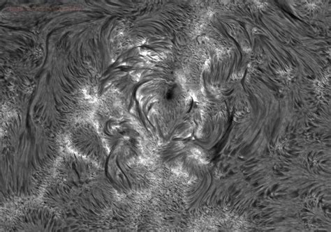 Sun H Alpha Chromosphere 03 09 2024 Astrobin