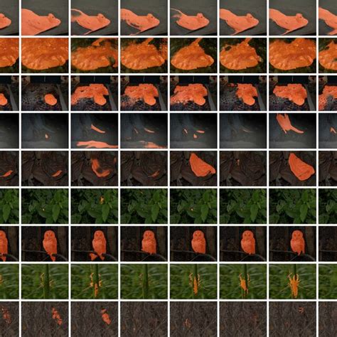 Visualization Comparisons Between Our Camoformer And Other Sota Download Scientific Diagram