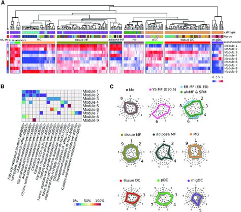 Metabolic Modules As A Result Of Multi Sample Metabolic Network Download Scientific Diagram