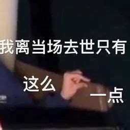 就tm离谱表情包 搜狗图片搜索