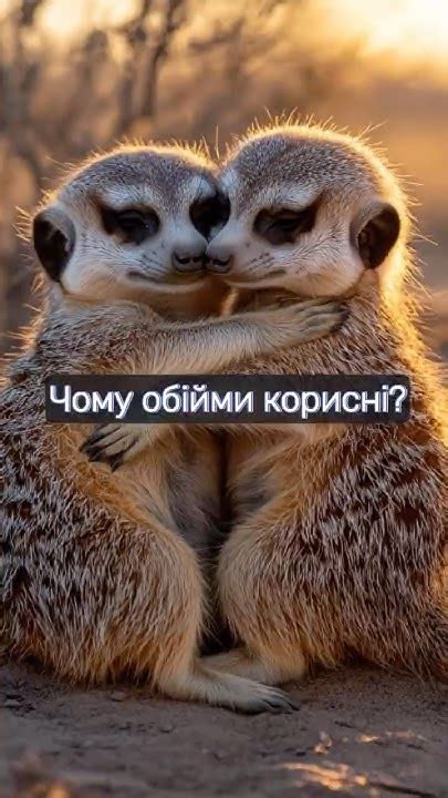 ЧОМУ ОБІЙМИ КОРИСНІ Youtube