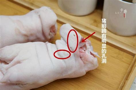 买猪蹄吃要先分清前蹄和后蹄教4个方法一挑一个准