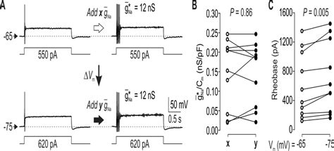 Physiological Temperature Does Not Affect Spiking Pattern Or Its Download Scientific Diagram