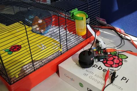 Hamster Party Cam Raspberry Pi Foundation