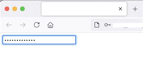 How To Add A Password Field Textbox In Html Programmerabroad How To Add A Password Field Textbox In Html Programmerabroad