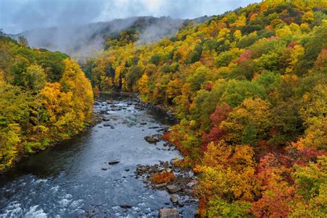 What Is A Riparian Forest Buffer And Why Should You Care