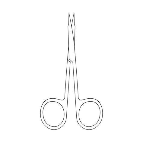 Dissection Kit Over 12 Royalty Free Licensable Stock Illustrations