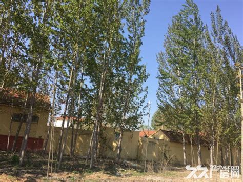 出售高密市 康庄社区8亩商住土地 潍坊高密醴泉街道土地出售 潍坊久久厂房网