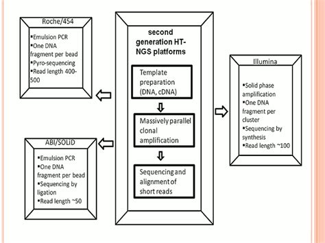 Whole Genome Sequencing Of Bacteria And Analysis Pptx Genetics Science