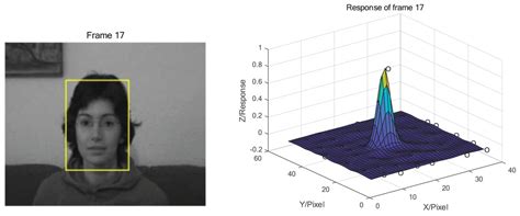 A Target Tracking Method Based On Adaptive Occlusion Judgment And Model