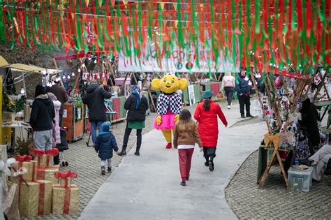 ბოტანიკურ ბაღში შოკოლადის საახალწლო ფესტივალი გაიმართა Kvira Ge